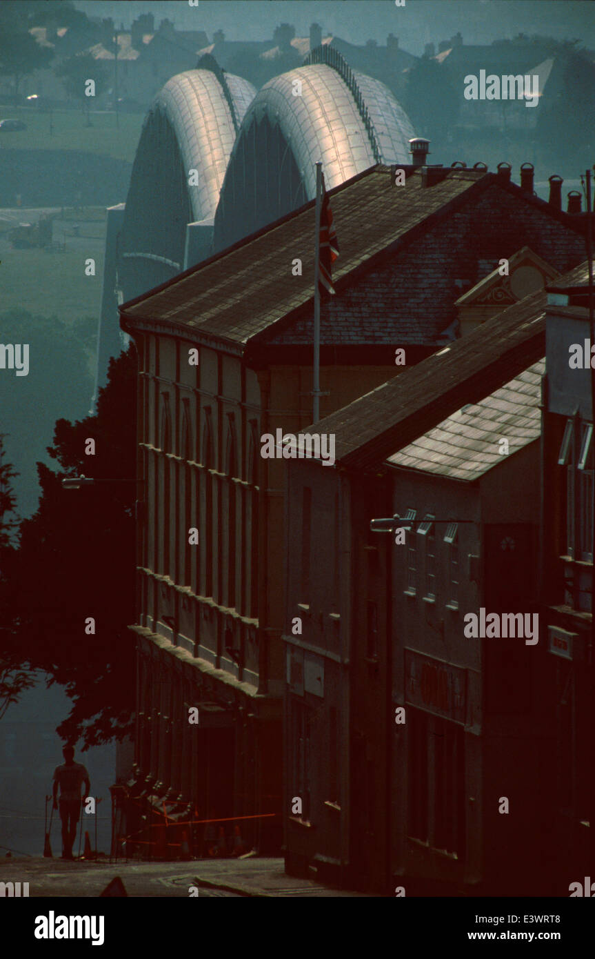 File snake hi-res stock photography and images - Alamy