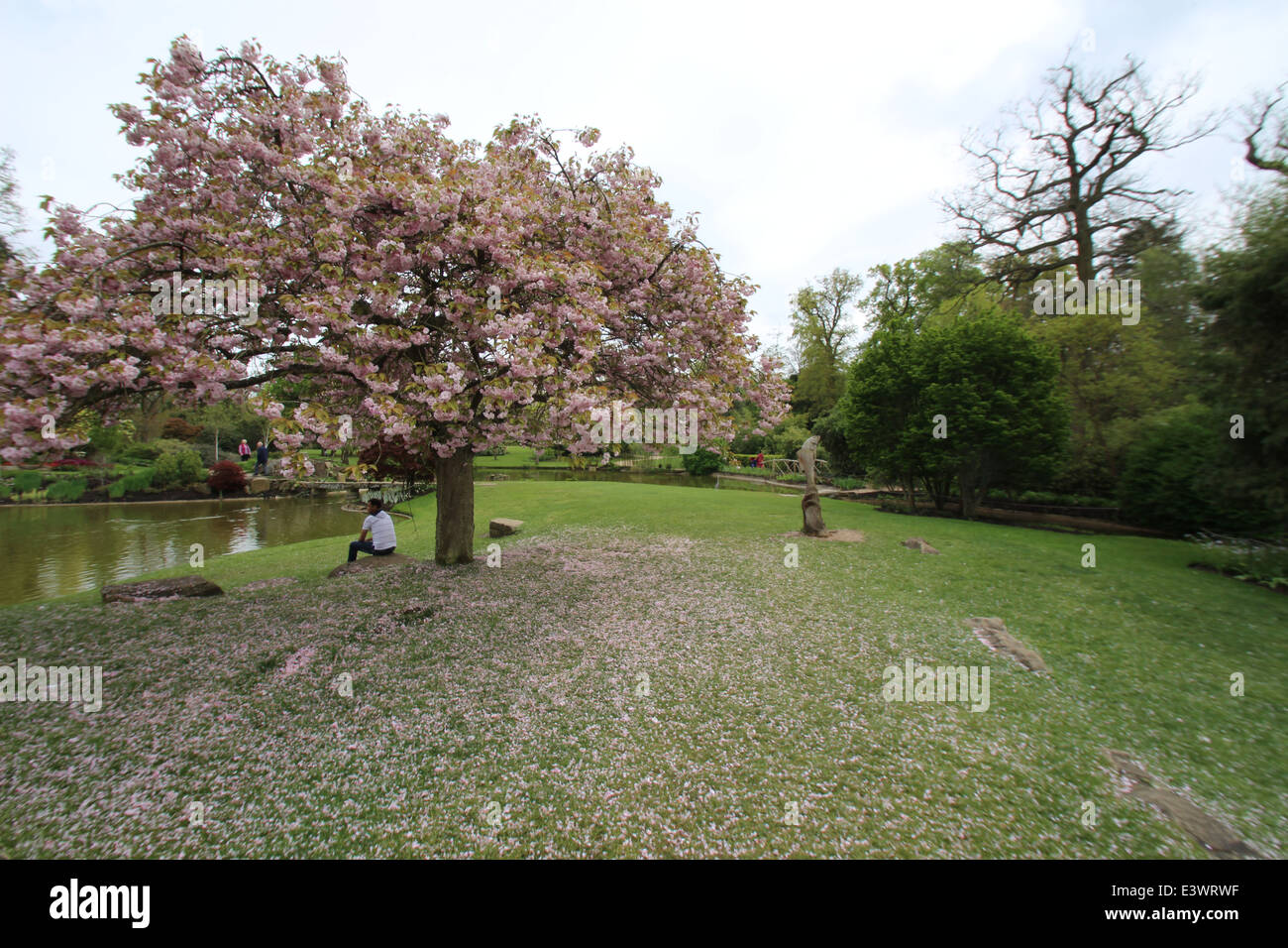 Cliveden, National Trust Stock Photo - Alamy