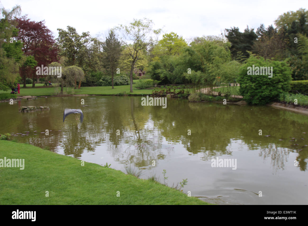 Cliveden, National Trust Stock Photo - Alamy