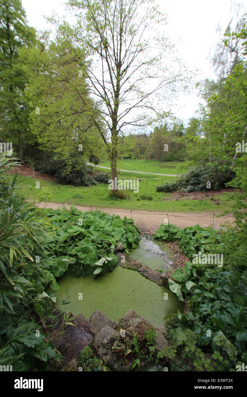 Cliveden, National Trust Stock Photo - Alamy