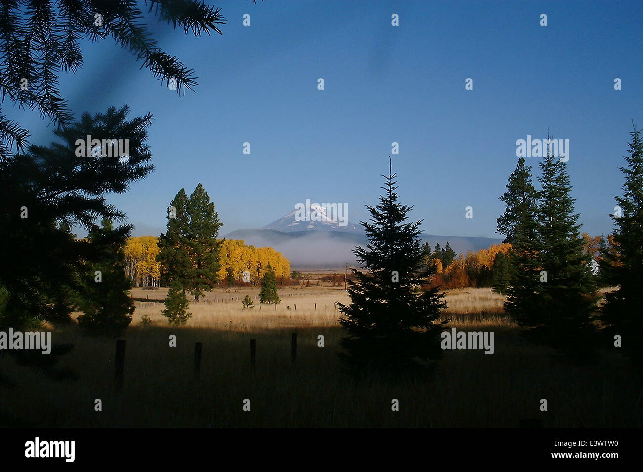 View of Mt Adams Stock Photo - Alamy