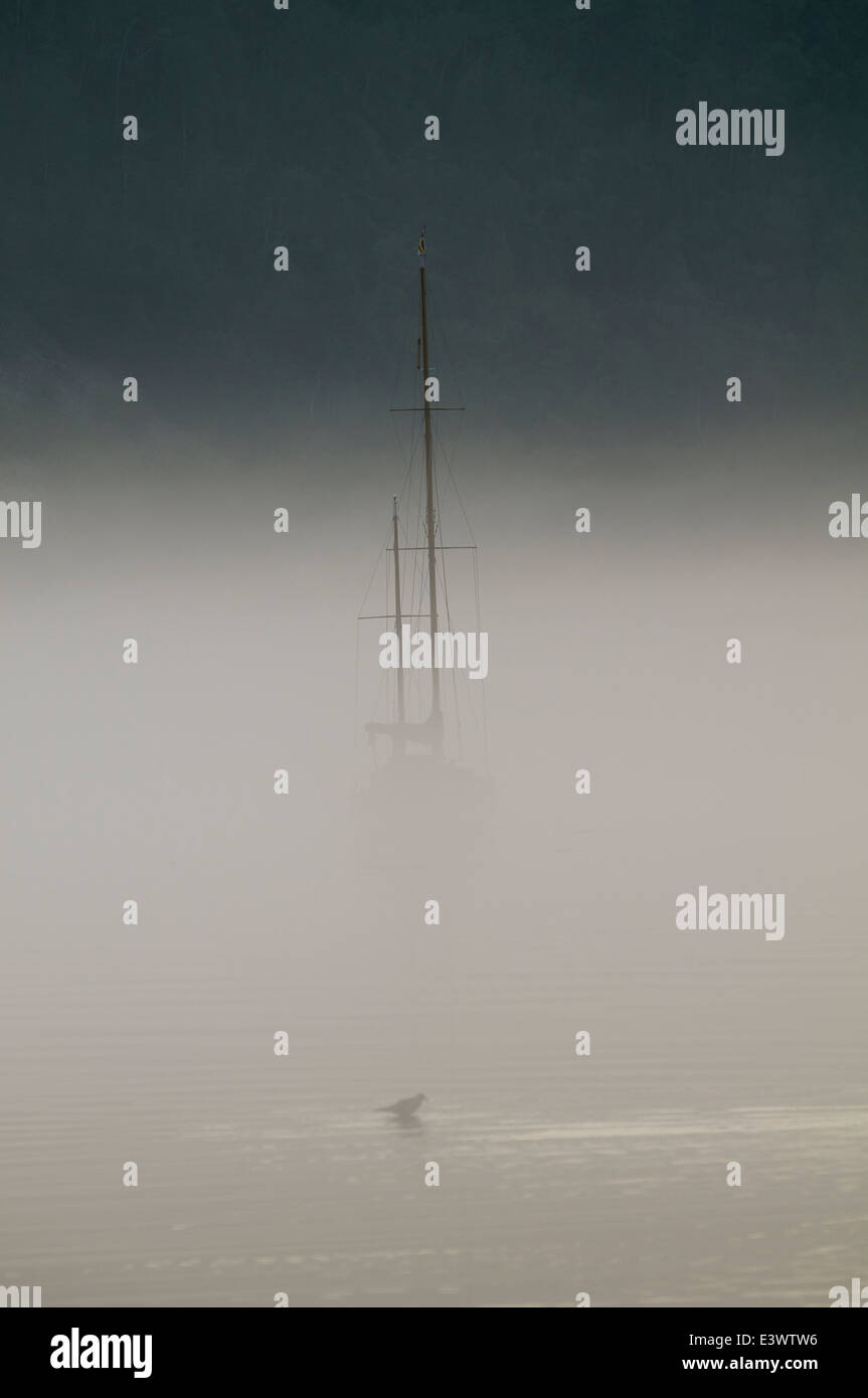 Anchored boats in the mist offshore in Tadoussac Bay, on the Gaspé ...