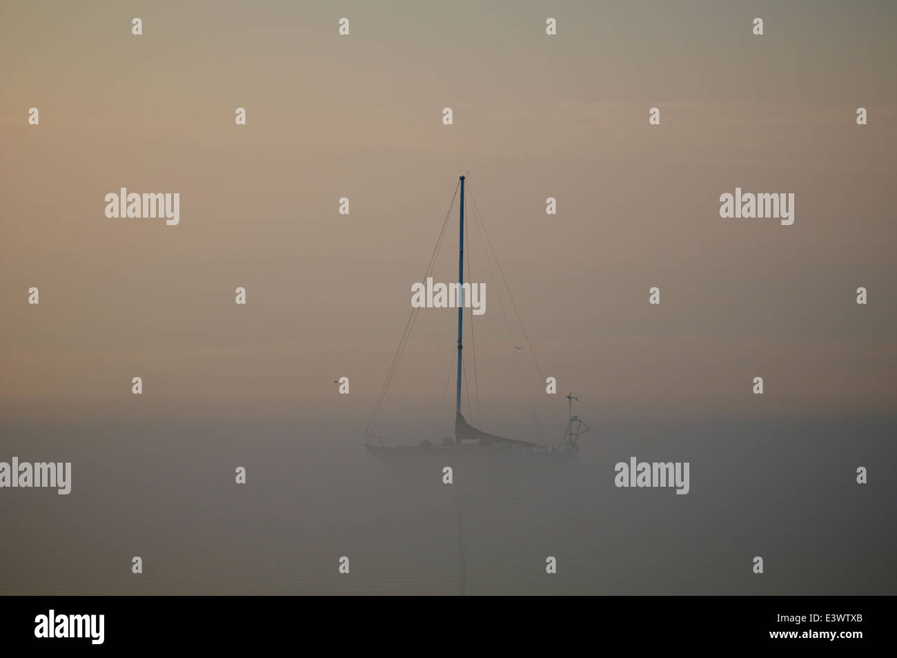 Anchored boat in the mist offshore in Tadoussac Bay, on the Gaspé ...