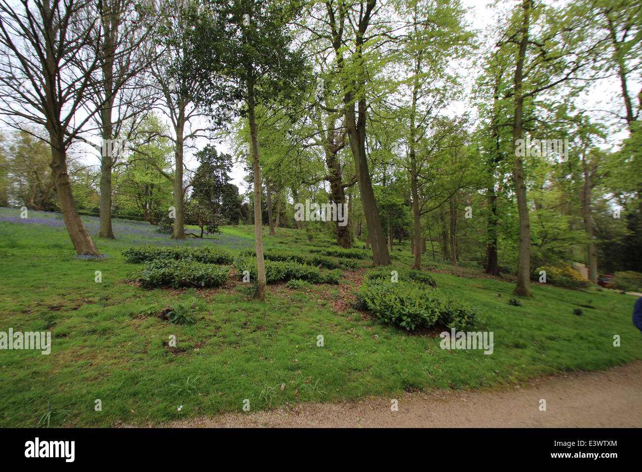 Cliveden, National Trust Stock Photo - Alamy