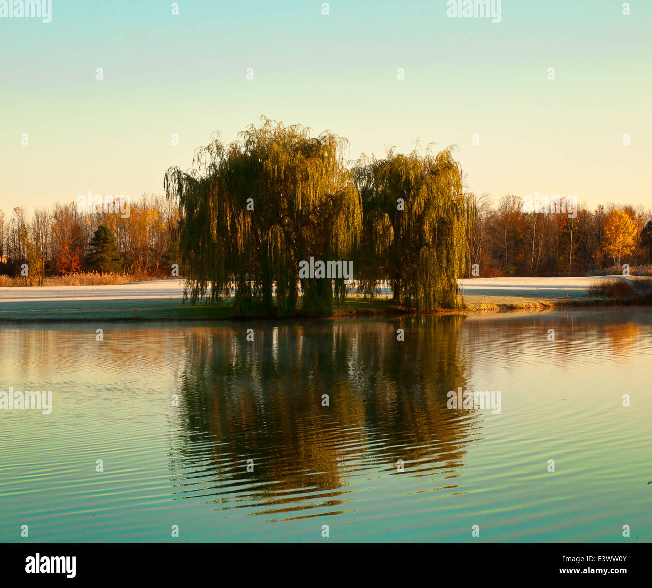 Tranquil lake scene with trees hi-res stock photography and images - Alamy