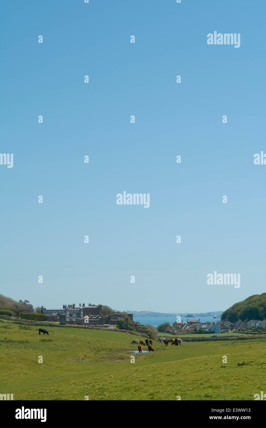 Dale Castle - Dale, Pembrokeshire, Wales, UK Stock Photo - Alamy