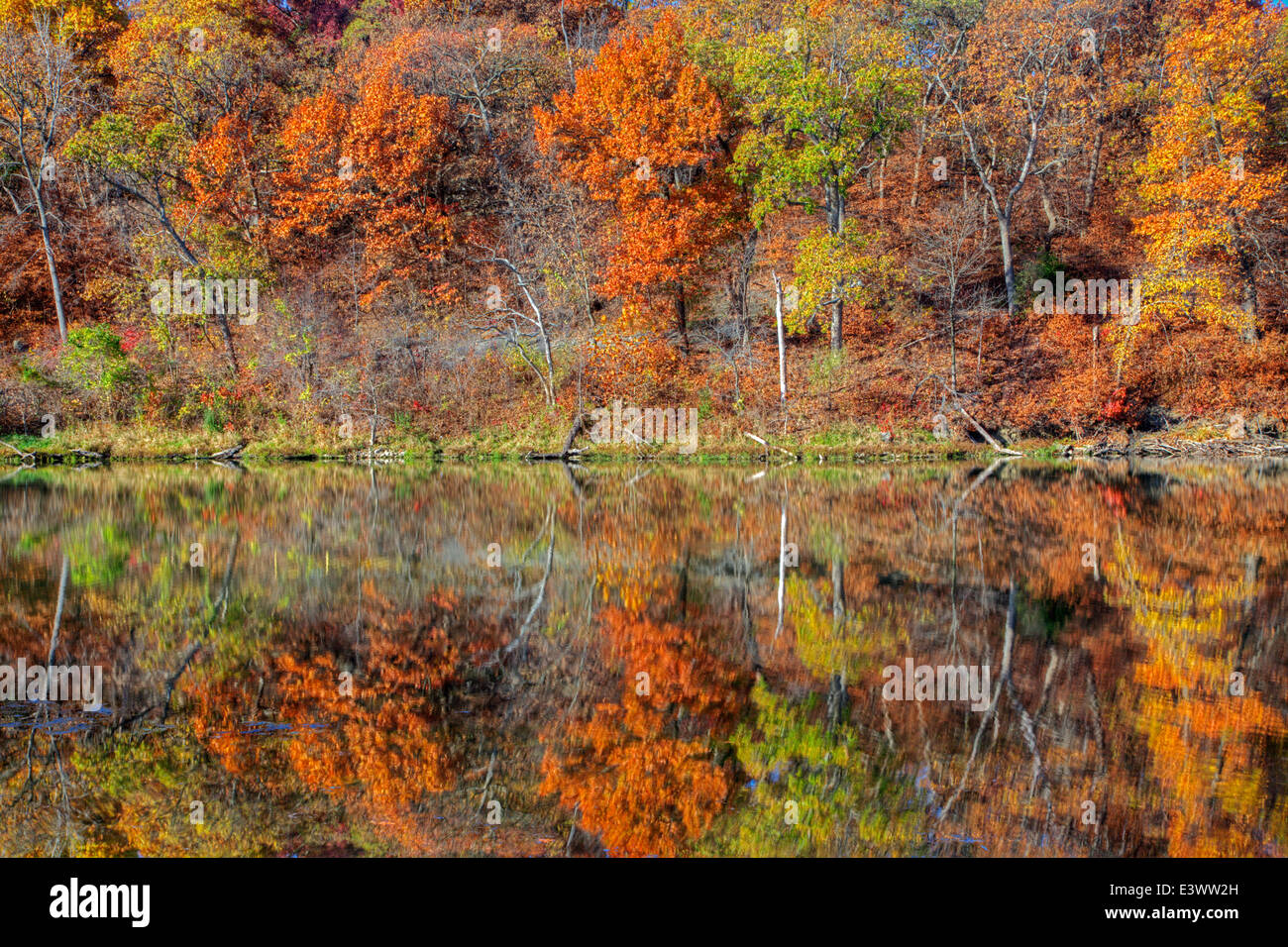 USA, Missouri, Kansas City metro area, Fleming Park, Lake Jacomo Stock ...