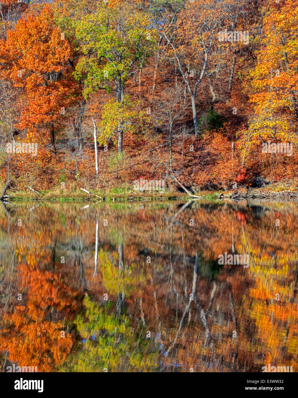USA, Missouri, Kansas City metro area, Fleming Park, Lake Jacomo Stock ...