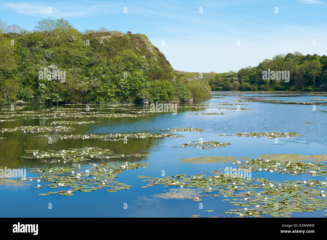 Stackpole hi-res stock photography and images - Alamy
