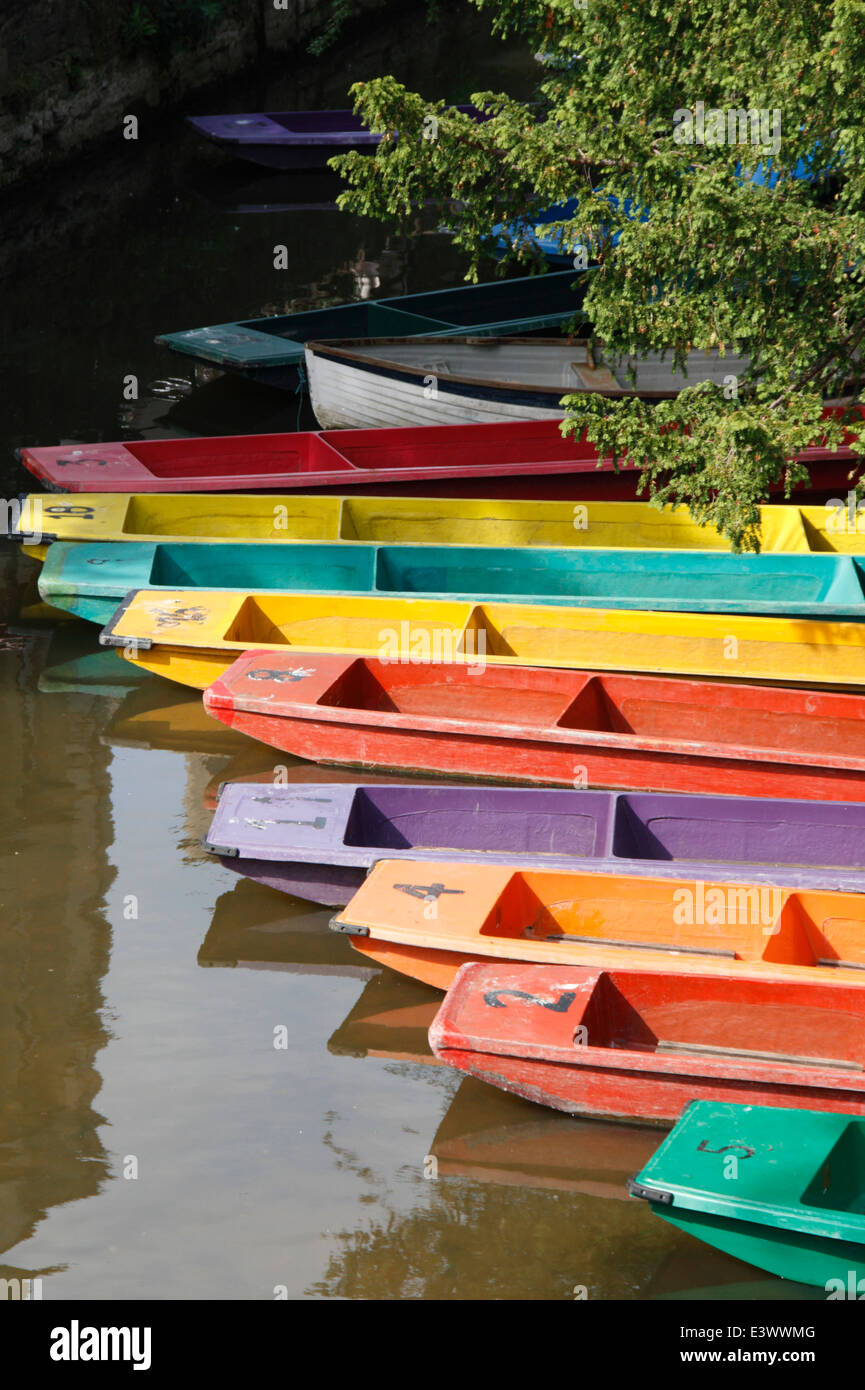 Coloured punts on the river Cherwell at Magdalen bridge in the city of ...