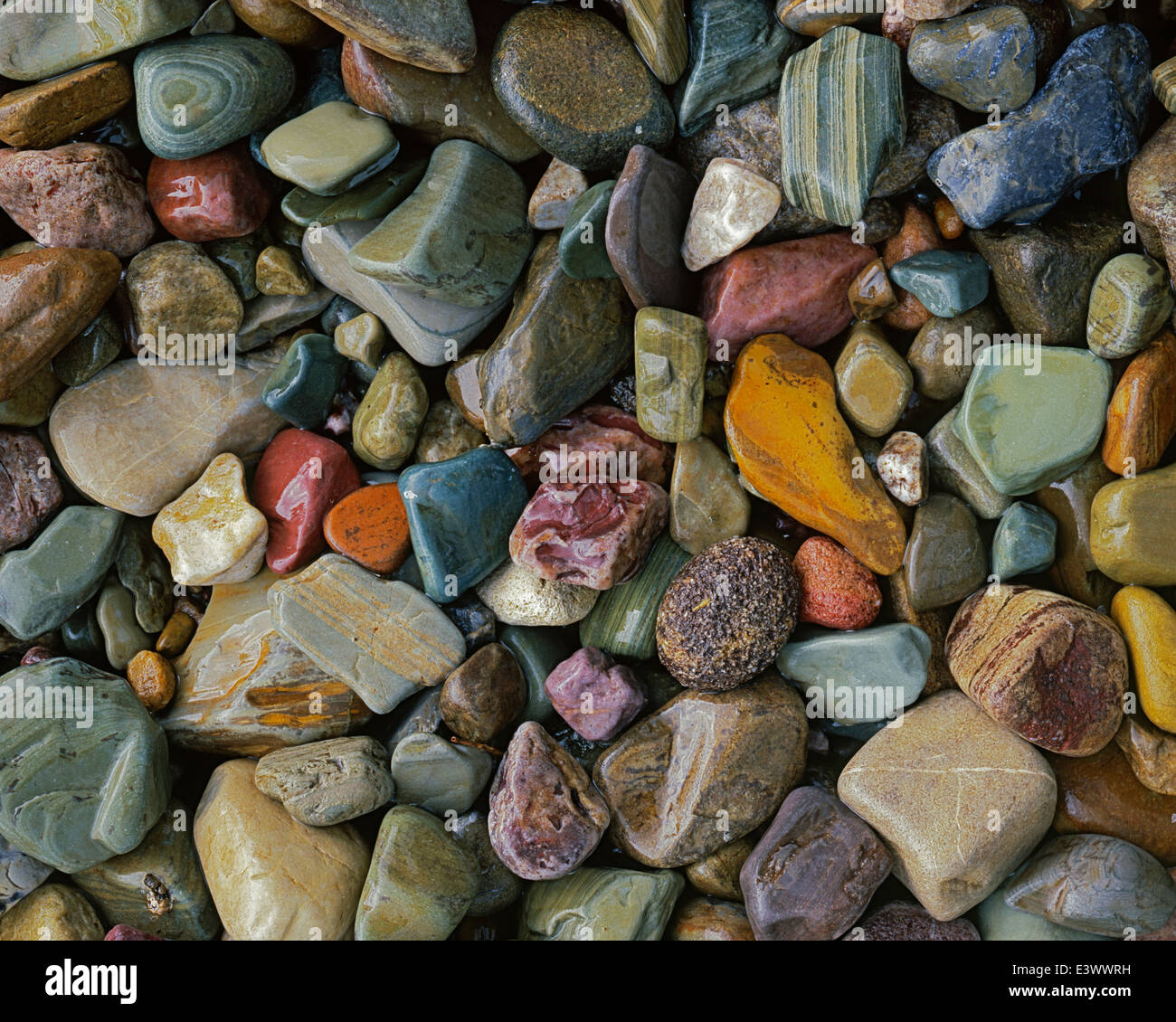 USA, Montana, Glacier National Park, Stones along St. Mary Lake Stock ...