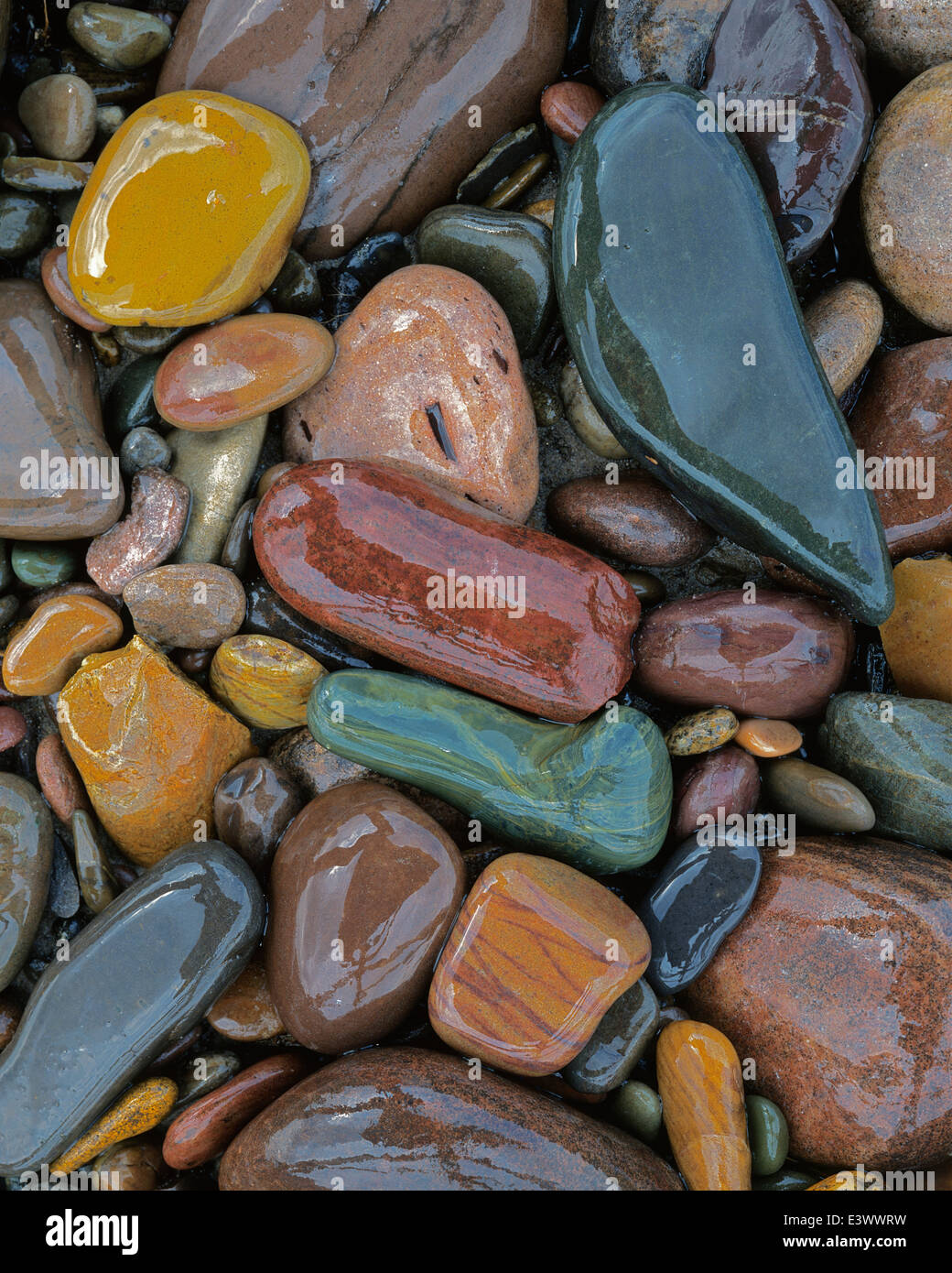 USA, Montana, Clark Fork River, Stones Stock Photo - Alamy