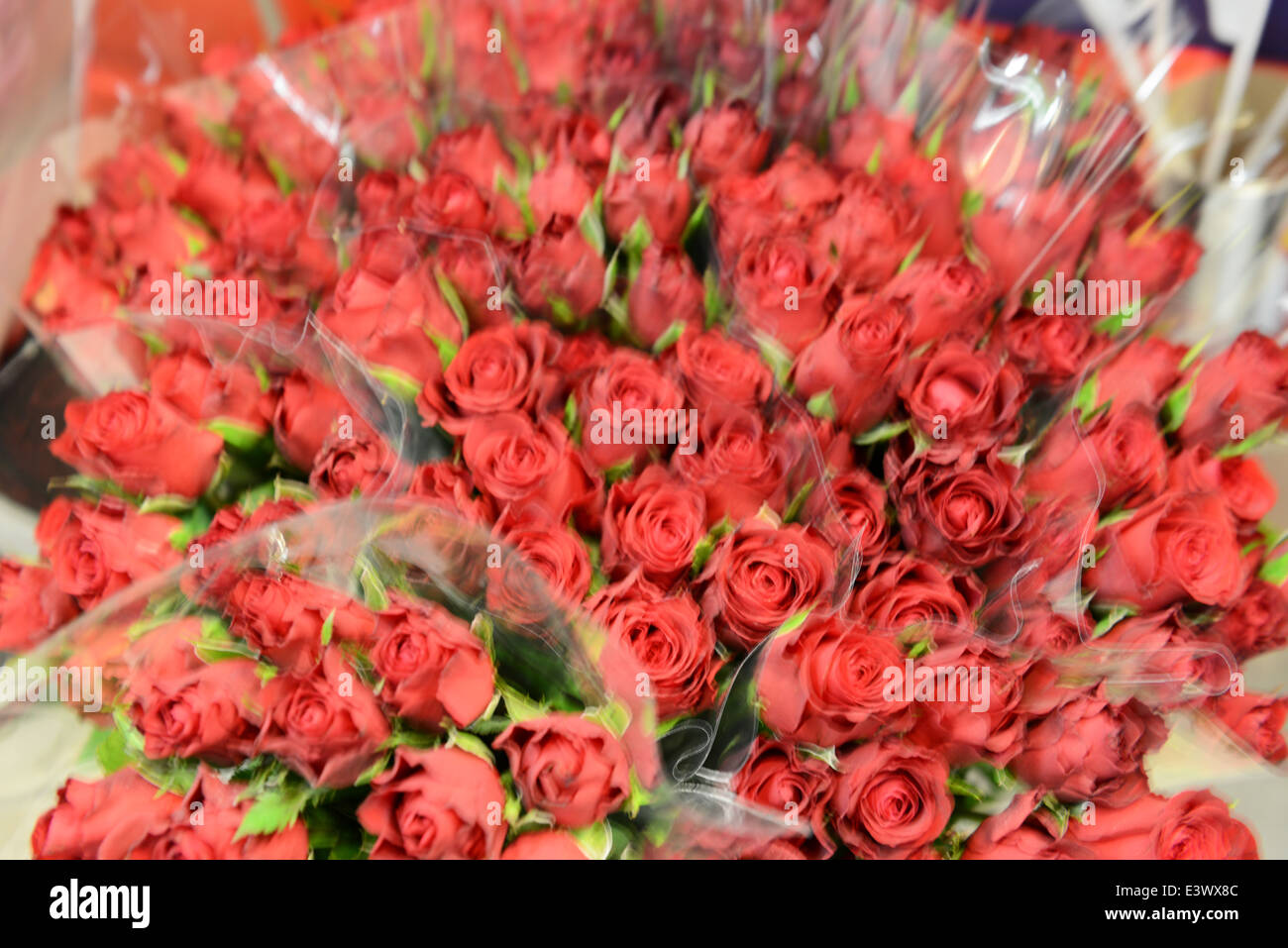 Bunches of red roses hi-res stock photography and images - Alamy