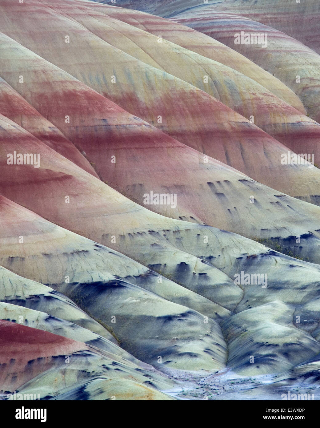 USA, Oregon, John Day Fossil Beds National Monument, The Painted Hills ...