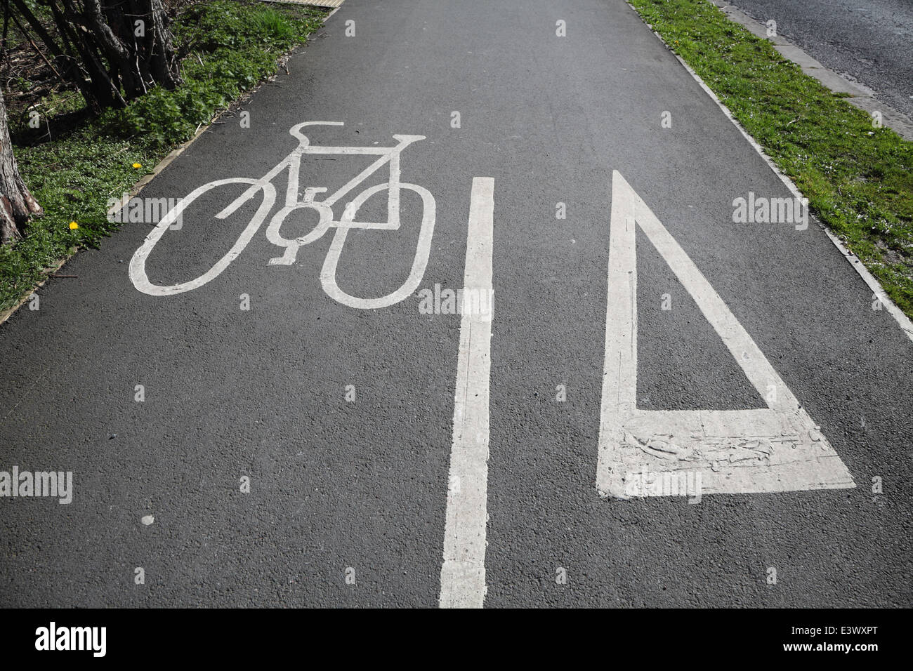 Sign "cycle lane" with give way sign on pavement Stock Photo - Alamy