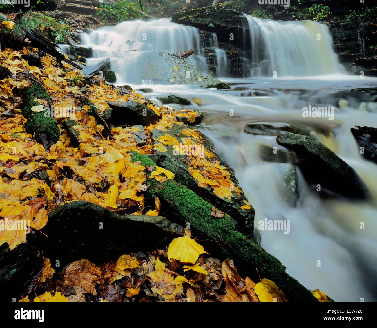 USA, Pennsylvania, Ricketts Glen State Park, Kitchen Creek, Cayuga ...