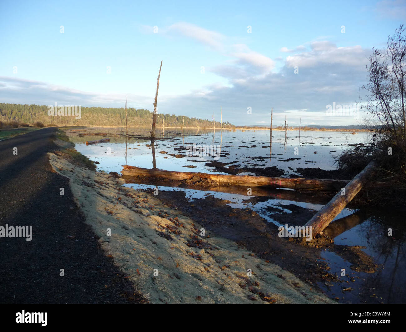 During a winter high tide, the riparian area of Puget Sound experiences ...