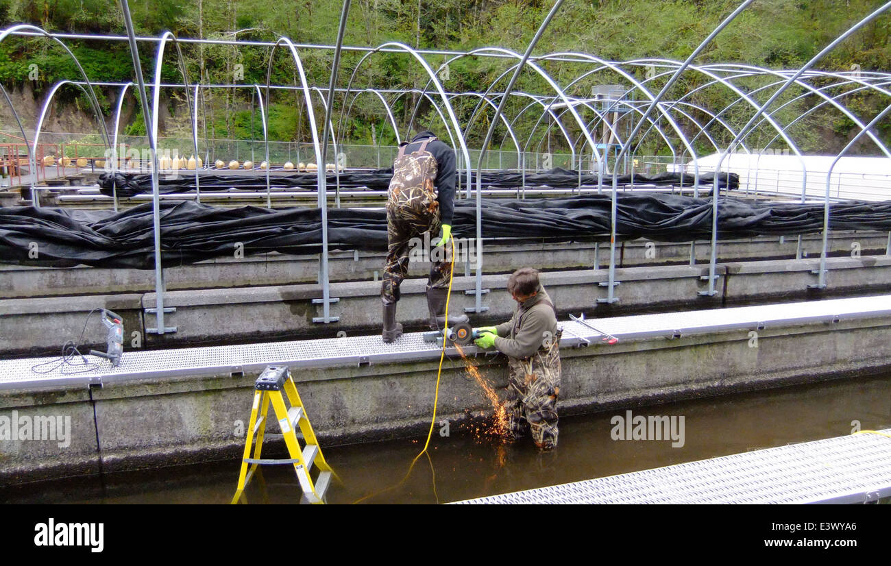 The Eagle Creek National Fish Hatchery in Oregon received funding ...