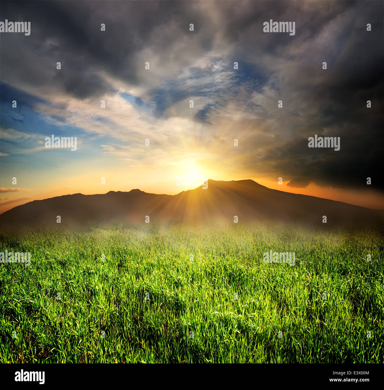 Grass in the mountains hi-res stock photography and images - Alamy