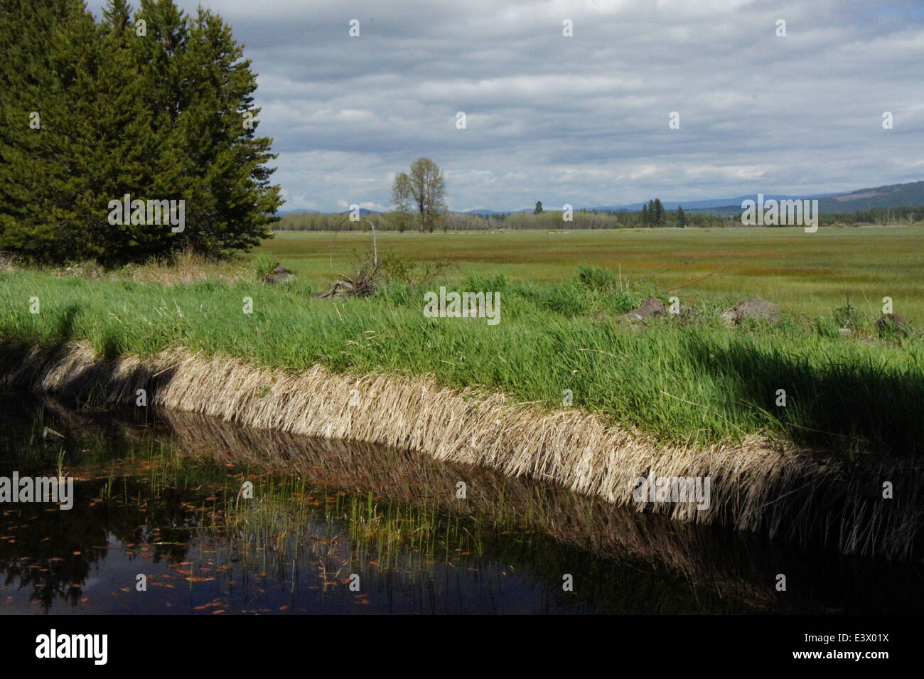 Marsh lands landscape near hi-res stock photography and images - Alamy