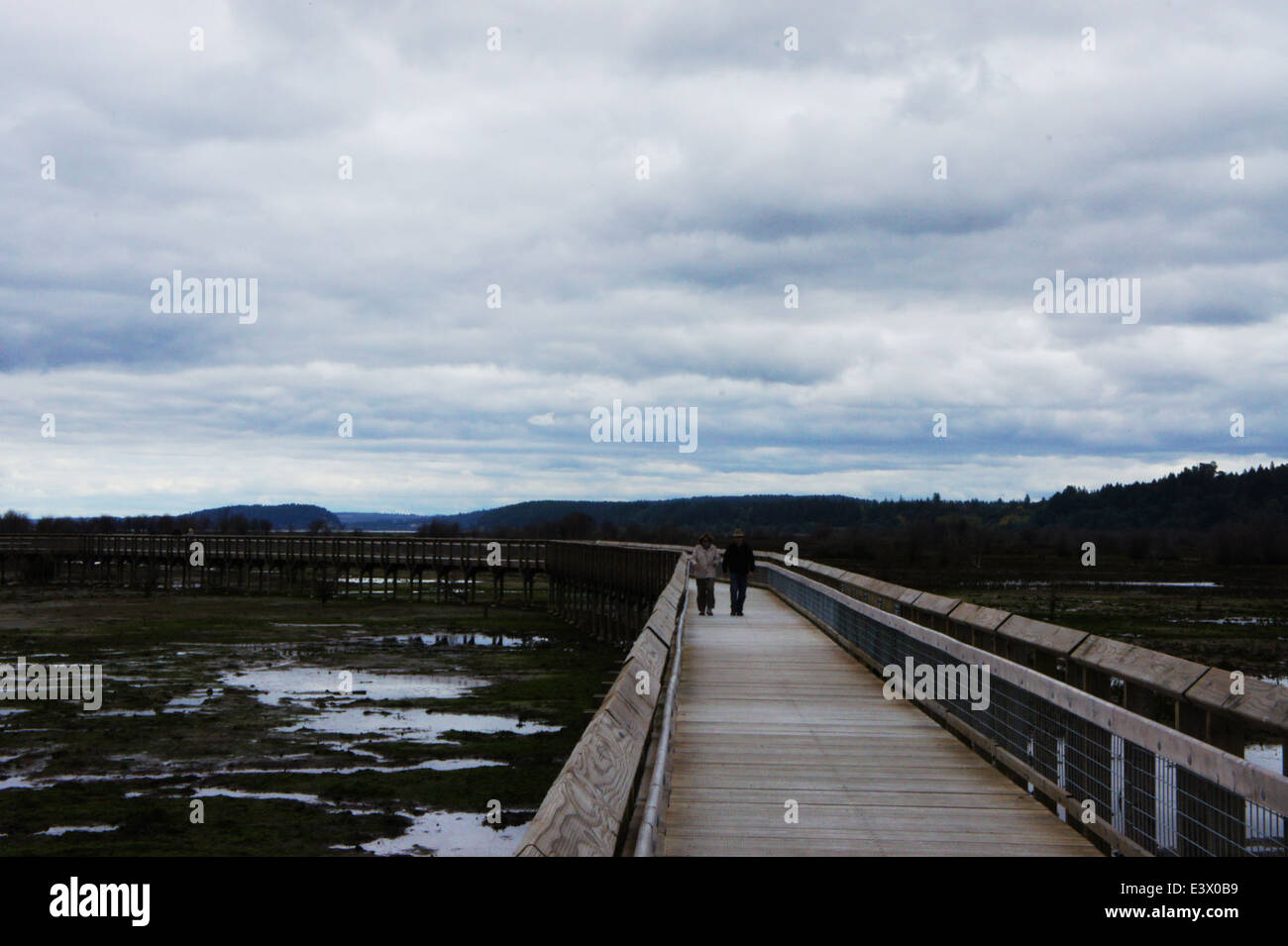 A boardwalk stretches across the coastal wetlands of Puget Sound ...