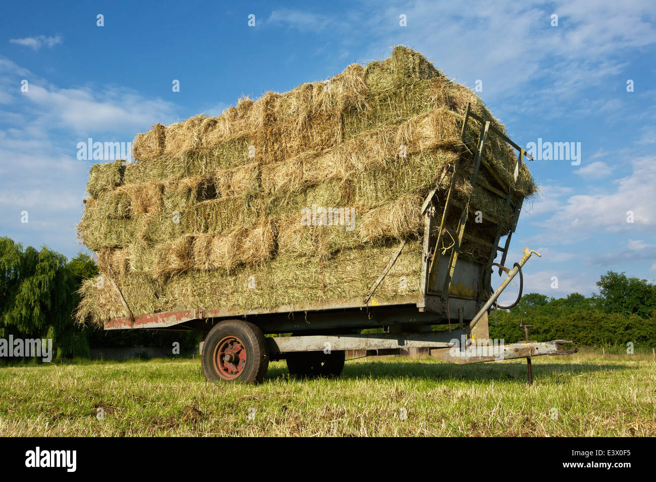 Hay Bales on Trailer in Field UK Stock Photo - Alamy