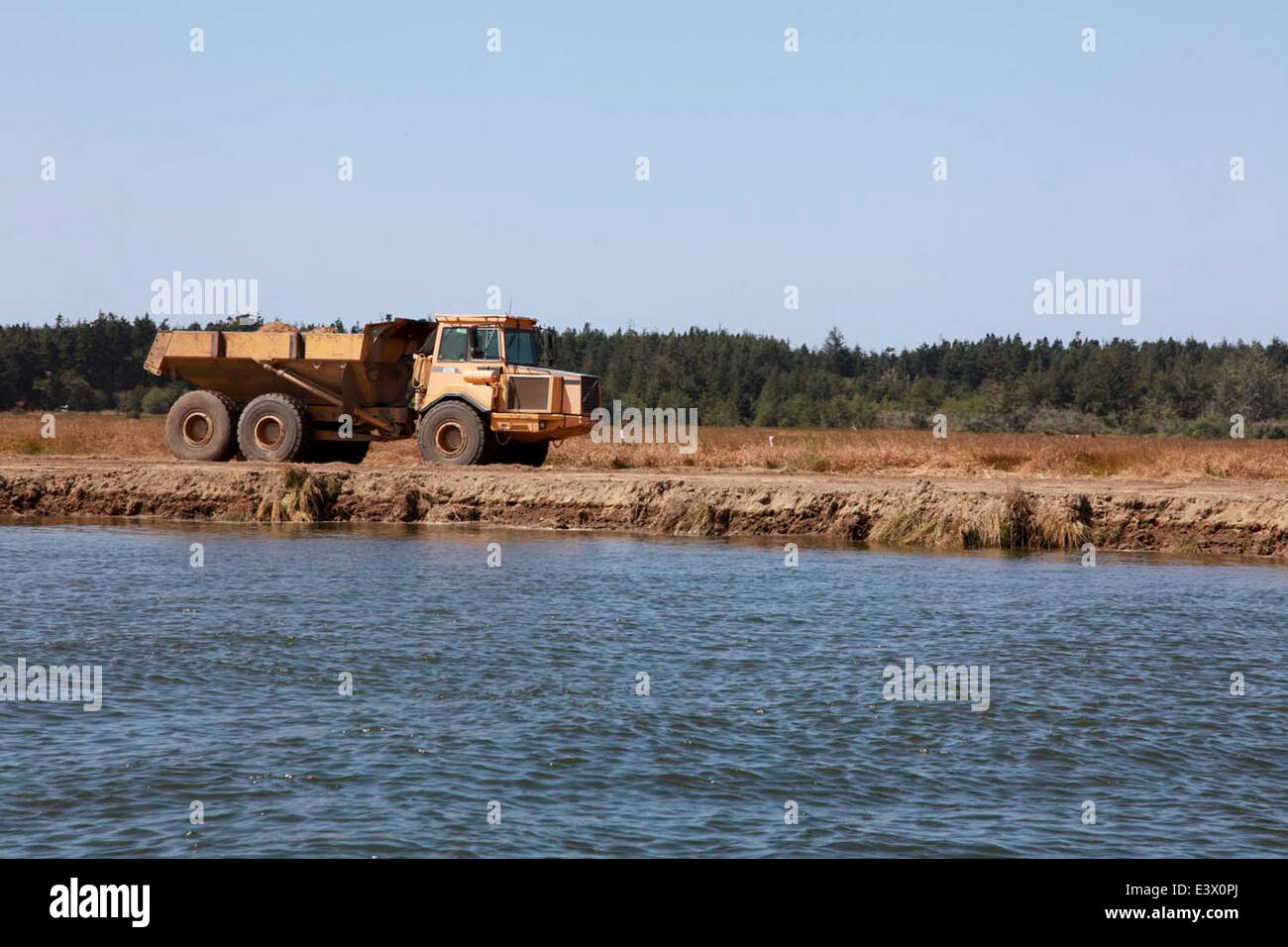 The Nilestun Restoration project at Bandon Marsh continues efforts to ...