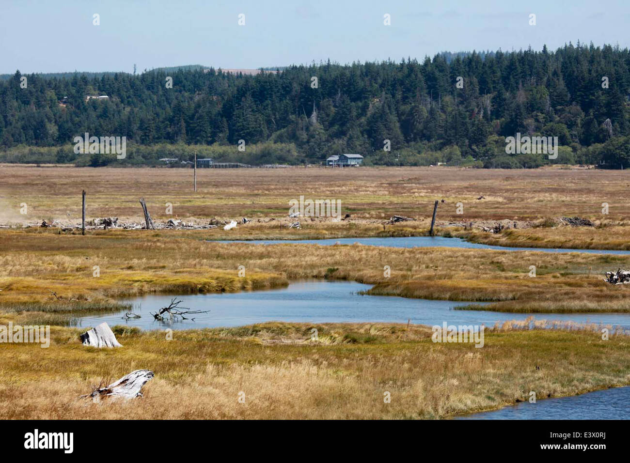 The Nilestun Restoration project is focused on restoring wetland ...