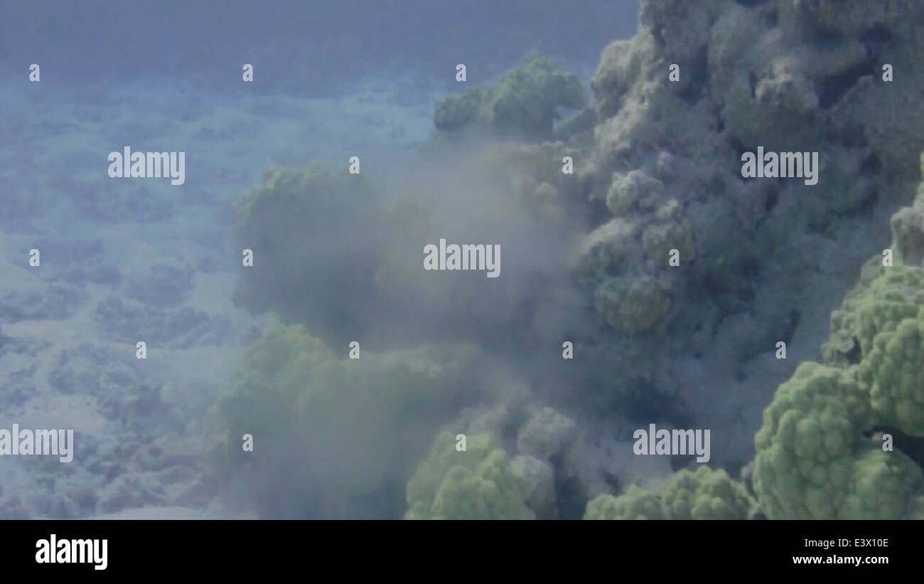 Coral spawning events at French Frigate Shoals in the Northwestern ...