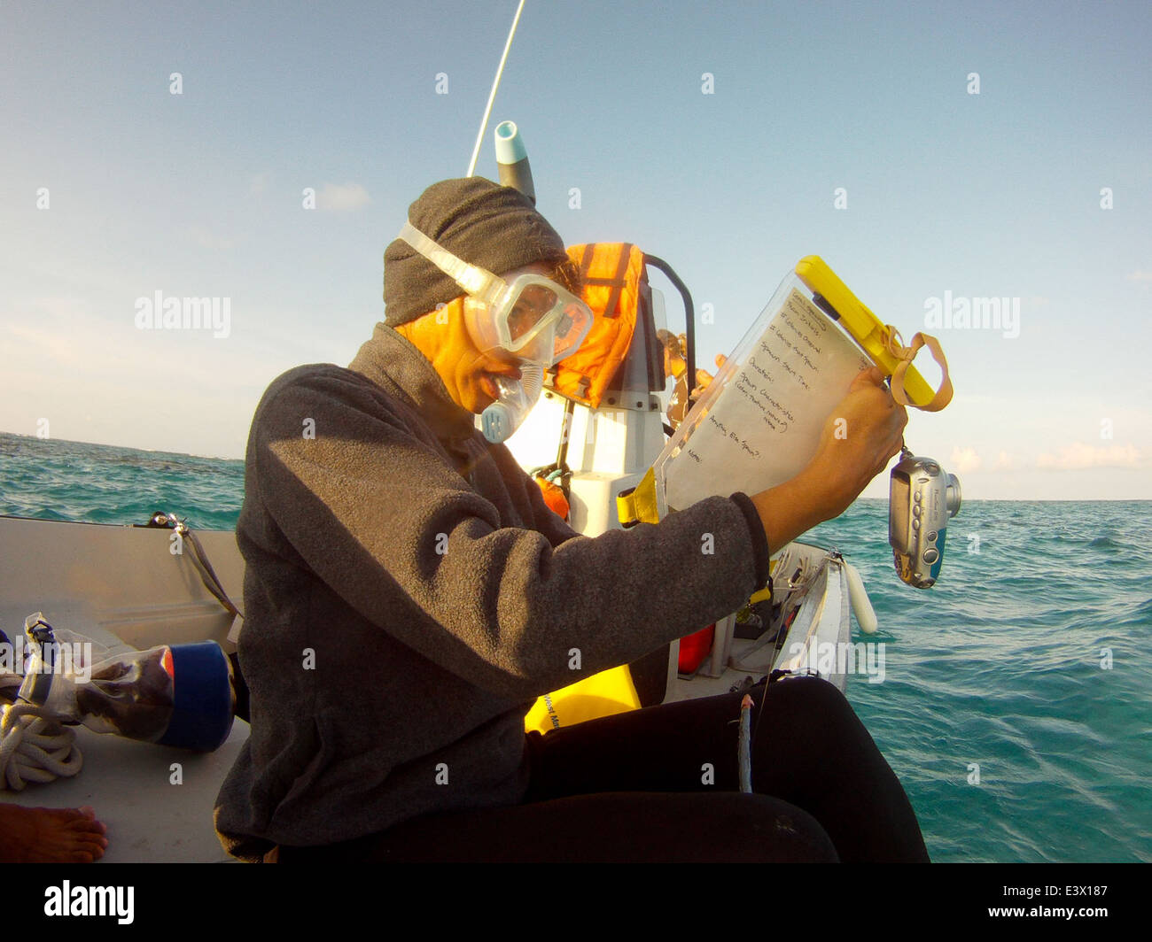 Coral spawning observations, French Frigate Shoals Stock Photo - Alamy