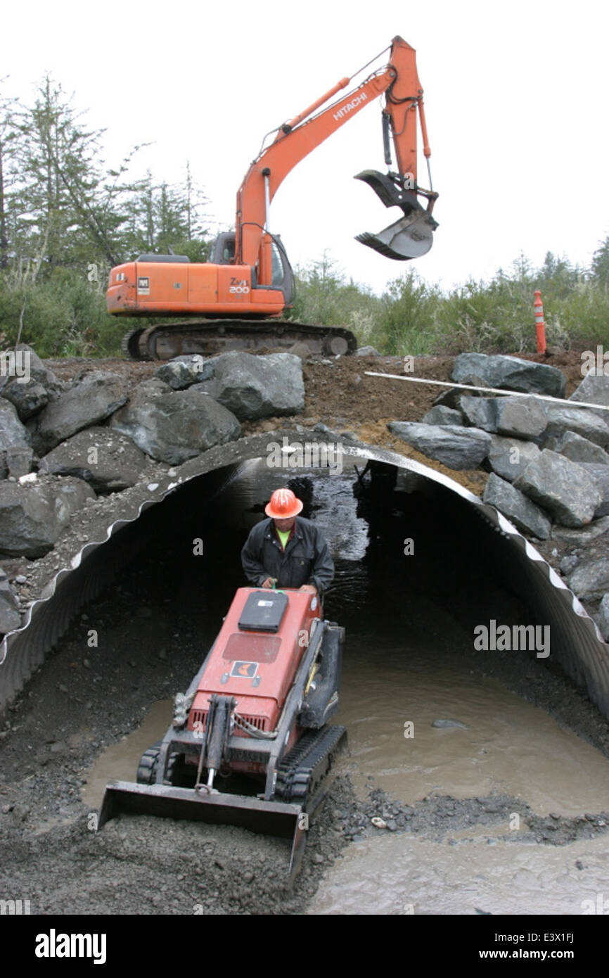 Culvert fish hi-res stock photography and images - Alamy