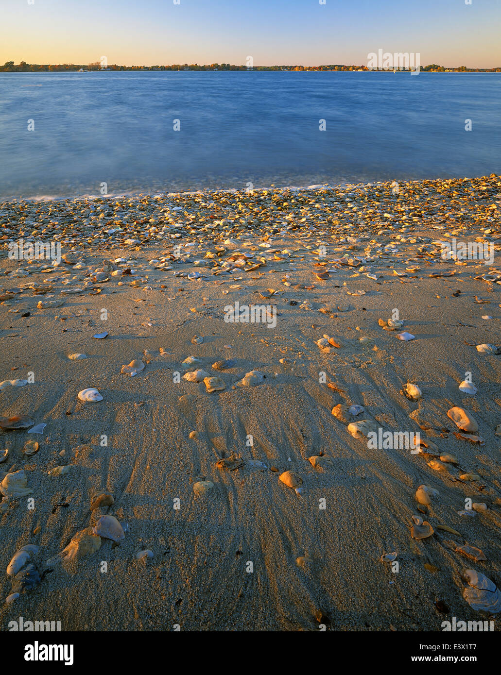 USA, Virginia, Chesapeake Bay, Shore at Sunset Stock Photo - Alamy