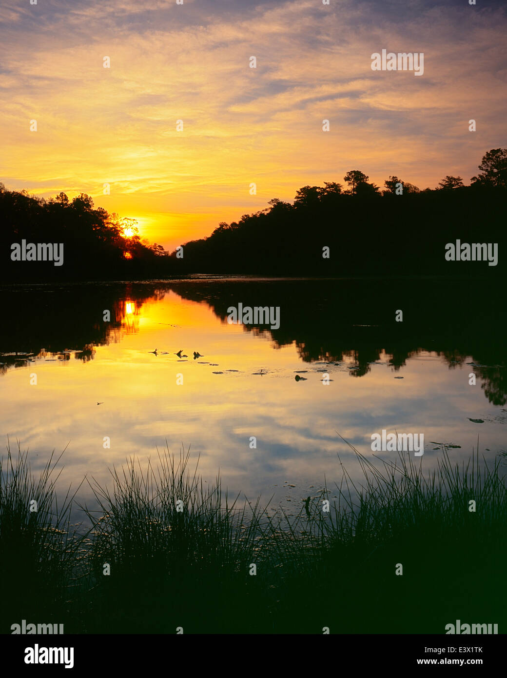 Chesapeake bay estuary hi-res stock photography and images - Alamy
