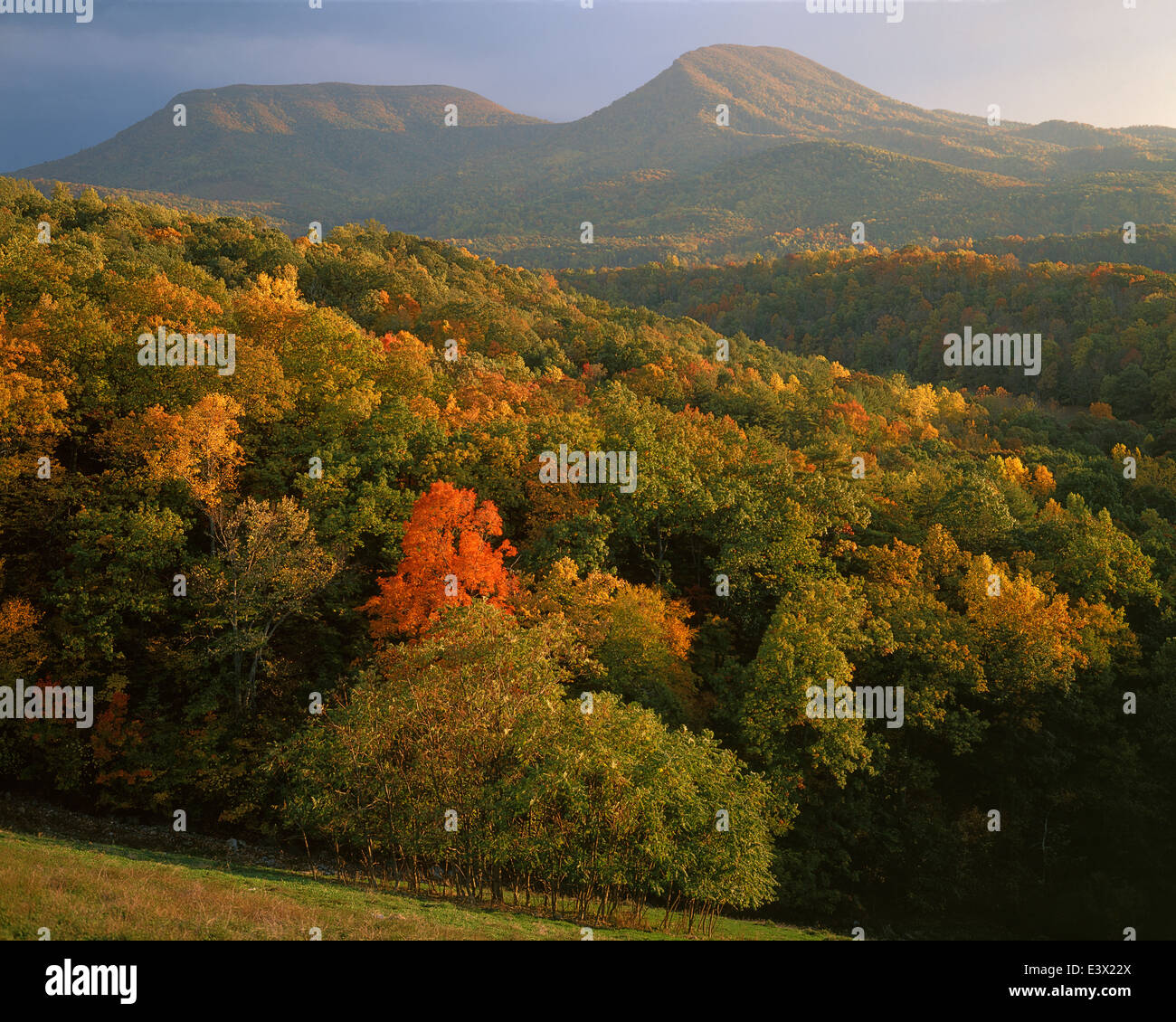 USA, Virginia, Jefferson National Forest Stock Photo - Alamy