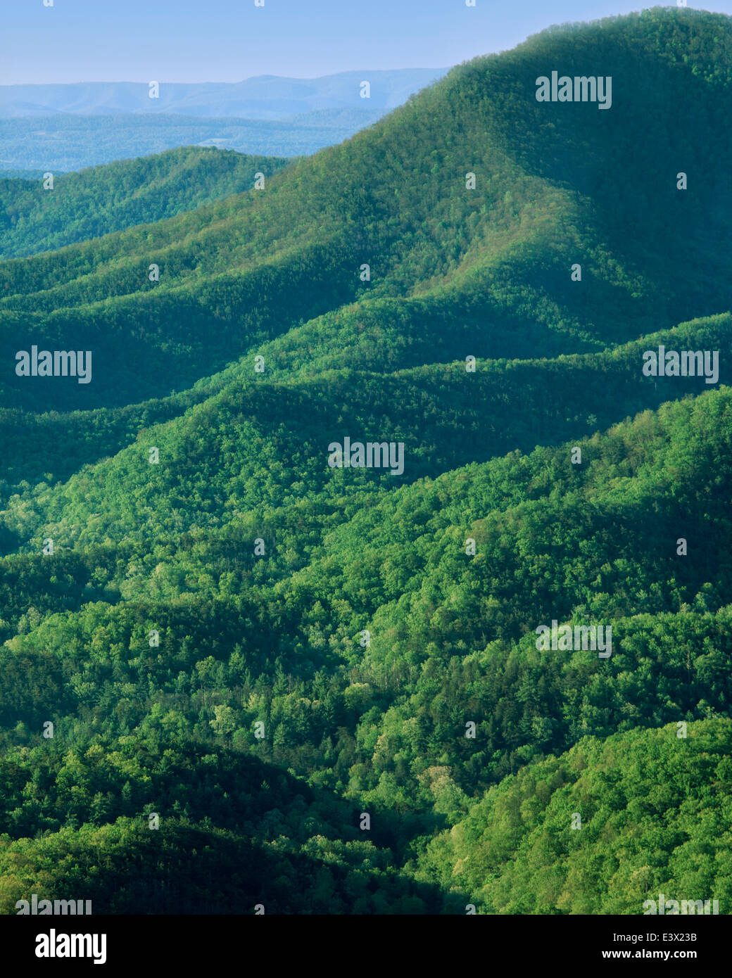 Jefferson national forest hi-res stock photography and images - Alamy
