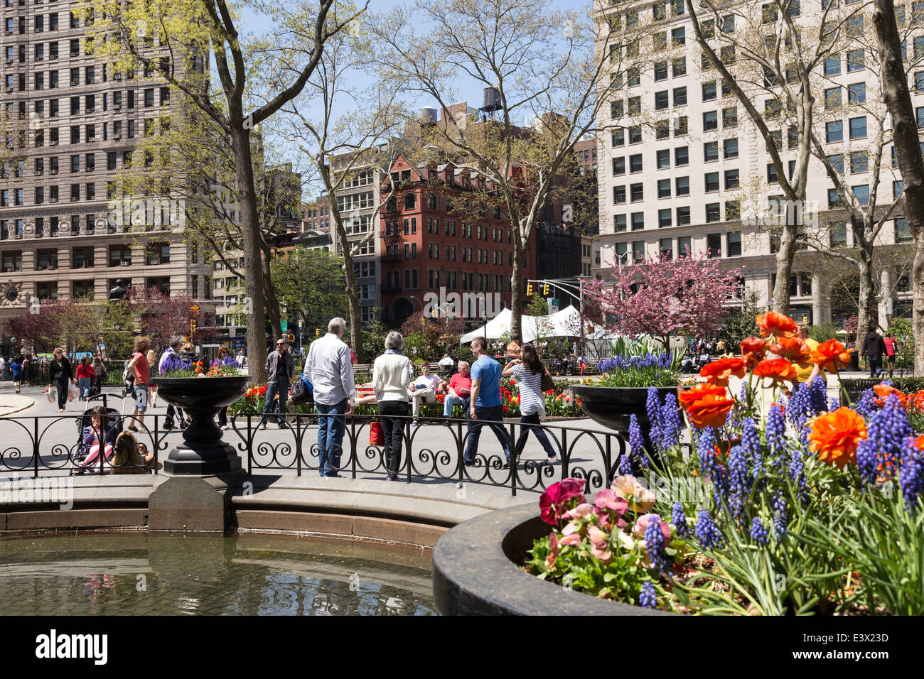 Springtime in Madison Square Park, NYC Stock Photo - Alamy