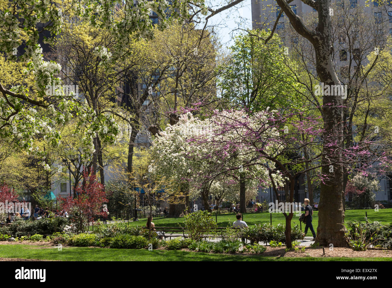 Pathway, Madison Square Park, NYC Stock Photo - Alamy