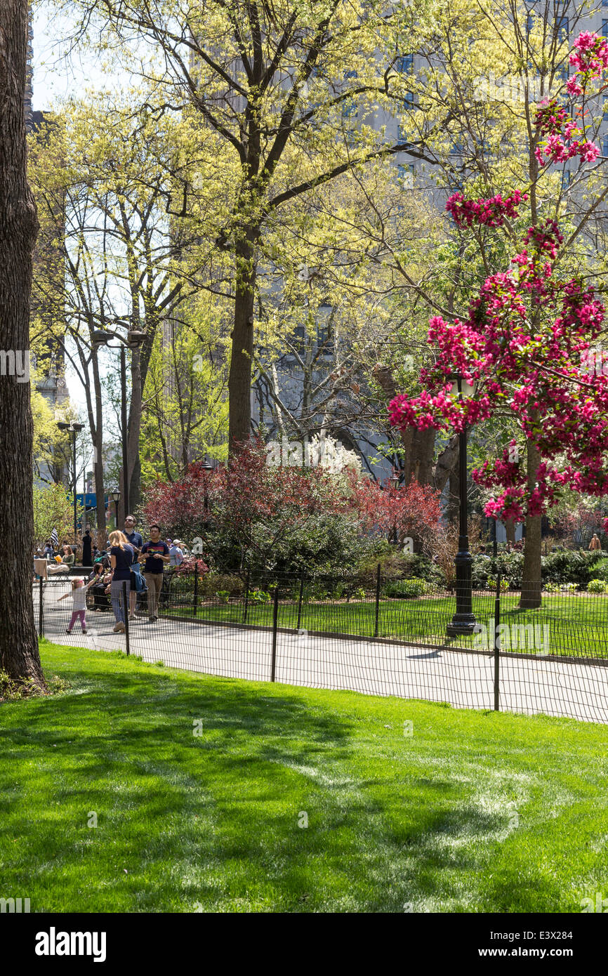 Pathway, Madison Square Park, NYC Stock Photo - Alamy