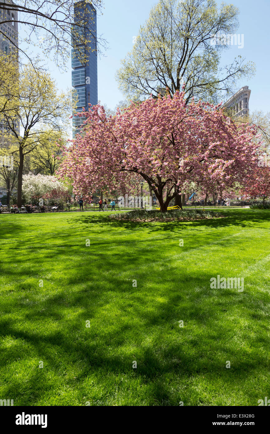 Oval Lawn, Madison Square Park, NYC Stock Photo - Alamy