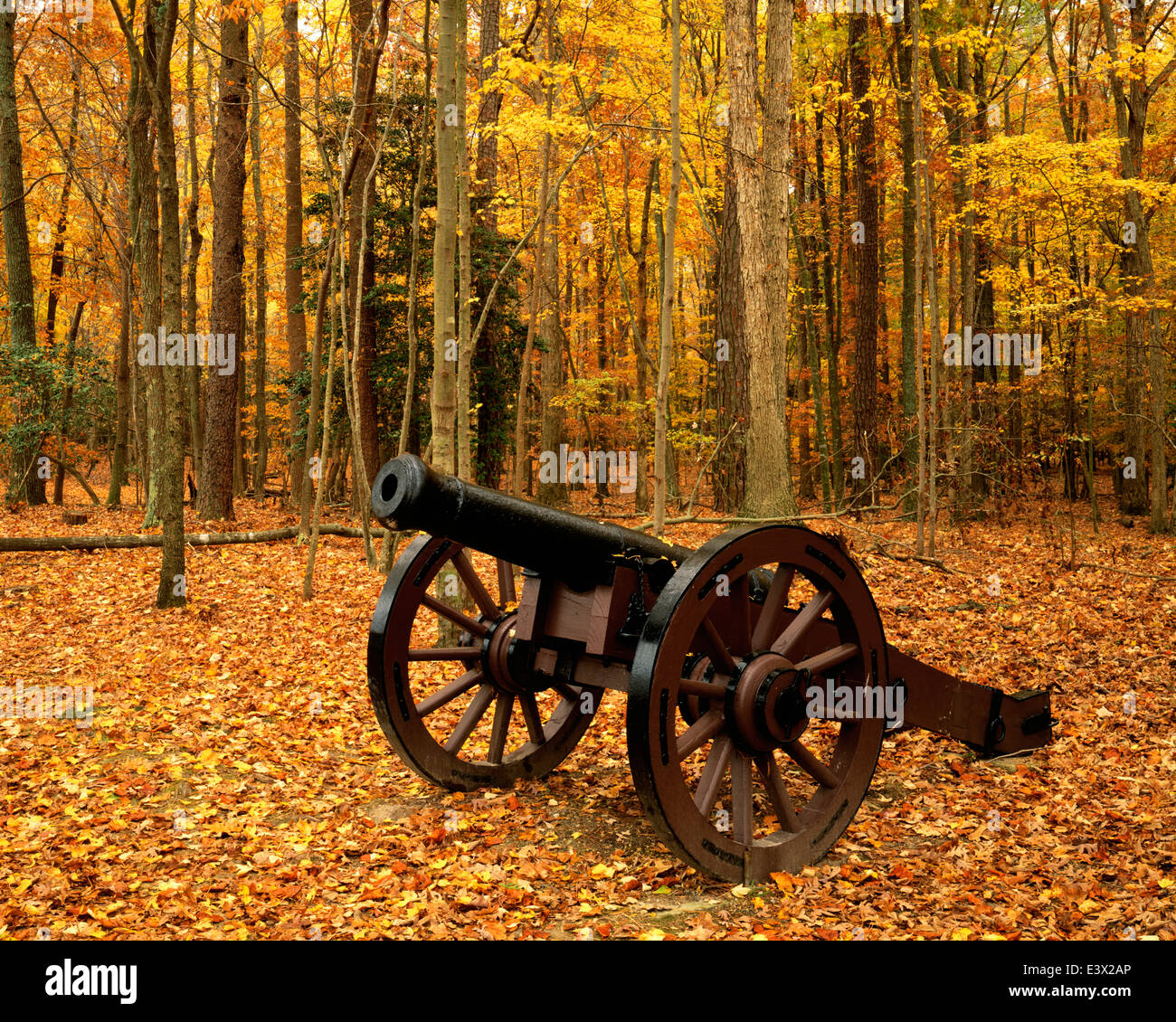 USA, Virginia, Colonial National Historical Park, Cannon at Yorktown ...