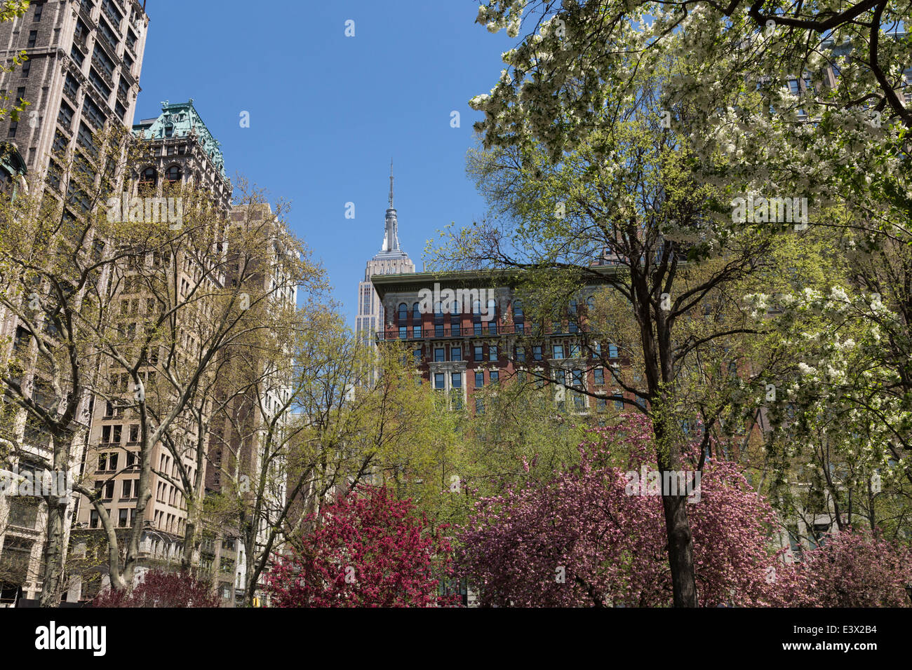 Blooms and buildings hi-res stock photography and images - Alamy
