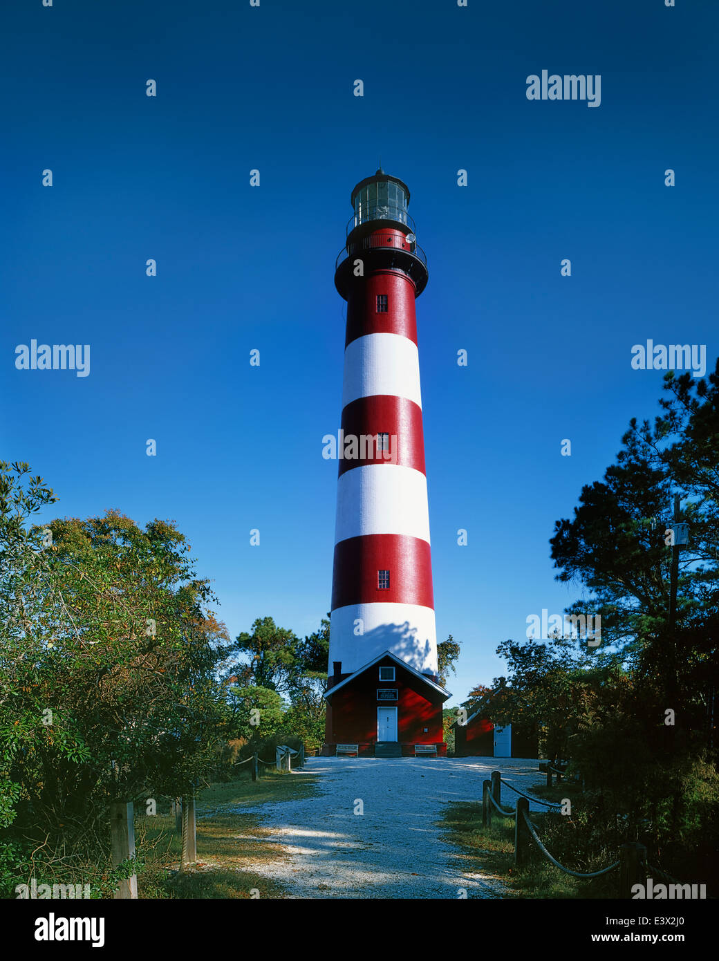 USA, Virginia, Assateague Island, Chincoteague National Wildlife Refuge ...