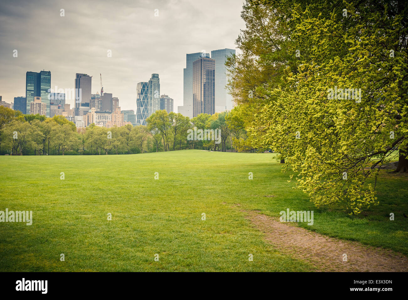 Central park at rainy day Stock Photo - Alamy