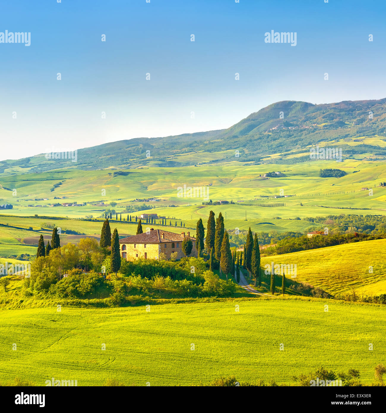 Tuscany at spring Stock Photo - Alamy