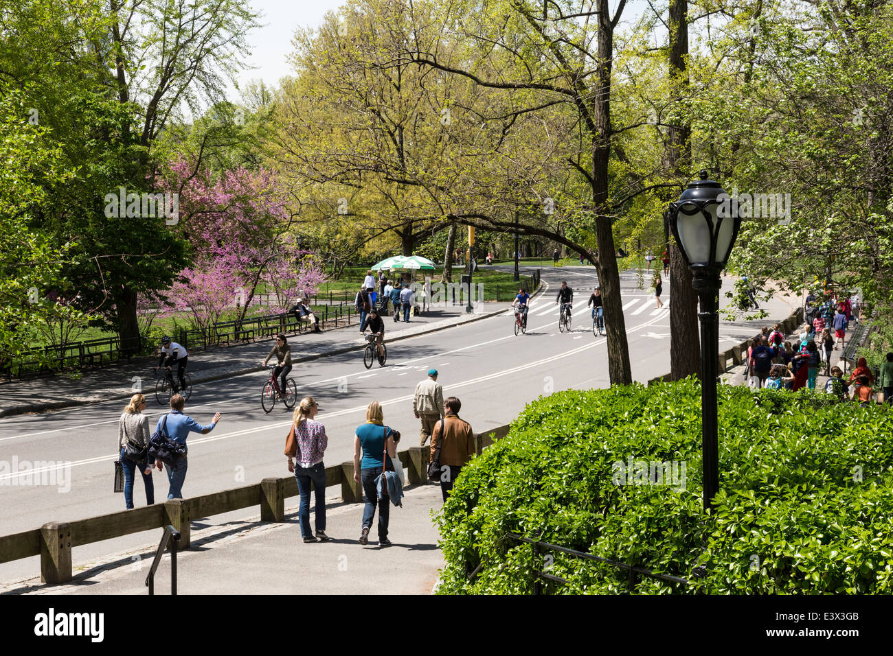 People Enjoying Springtime in Central Park, NYC, USA Stock Photo - Alamy