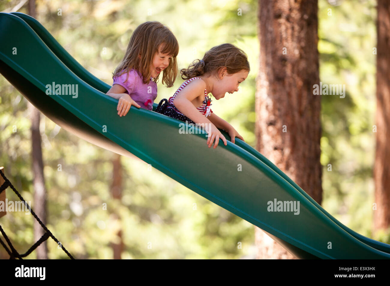 Two sisters screaming on a slide in forest Stock Photo - Alamy
