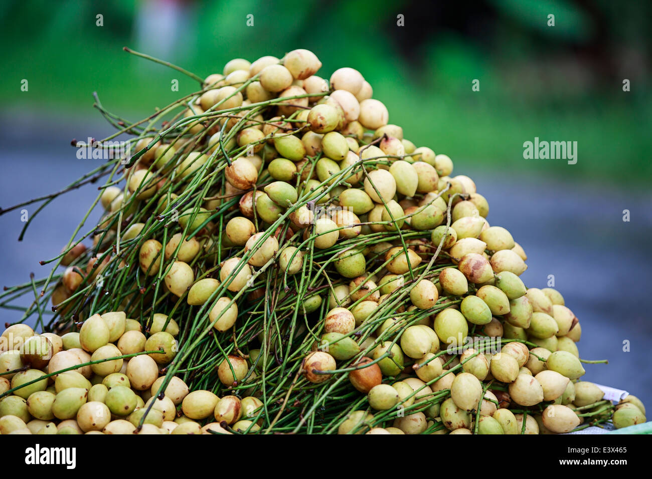 Burmese grape fruit hi-res stock photography and images - Alamy