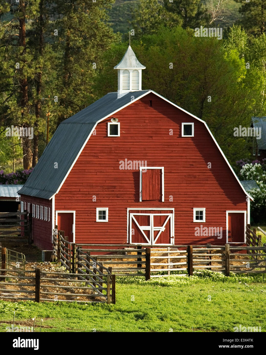 Barn whitman county washington hi-res stock photography and images - Alamy
