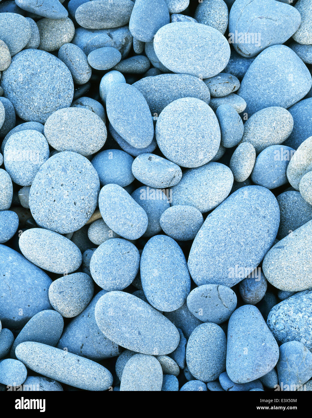 USA, Washington, Olympic National Park, La Push, stones Stock Photo - Alamy