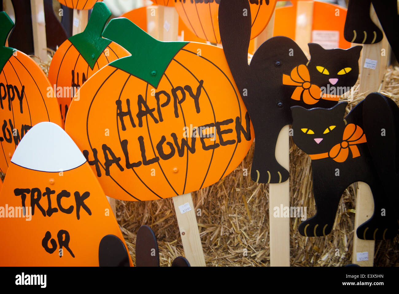 Halloween decorative pumpkins, candy corn and black cats Stock Photo ...
